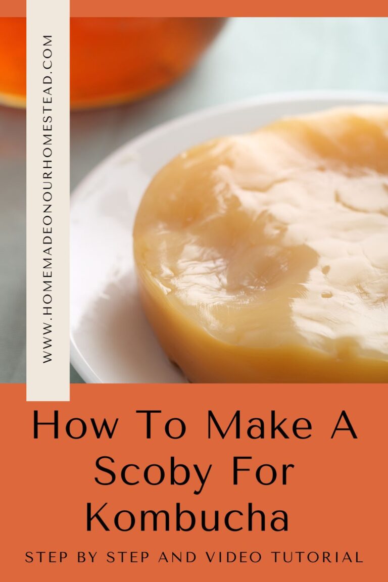 How To Make A Scoby From Scratch